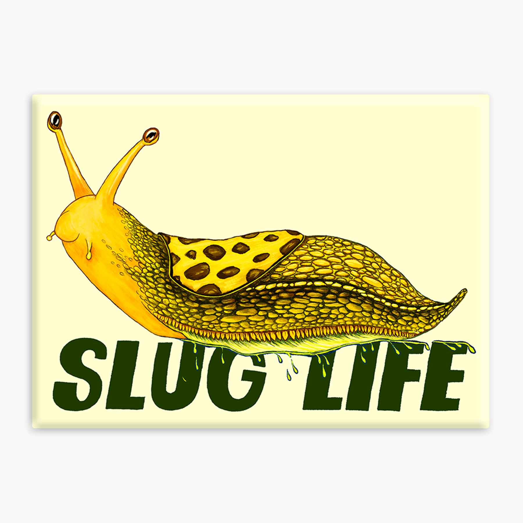 Slug Life - Magnet – Jollifrogs